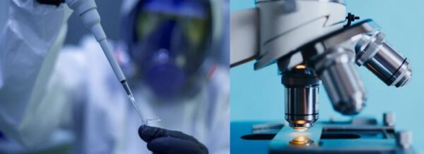 Biomedical Informatics Program - Galala University